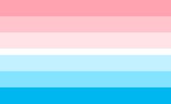 MAP flag - MAP Wiki